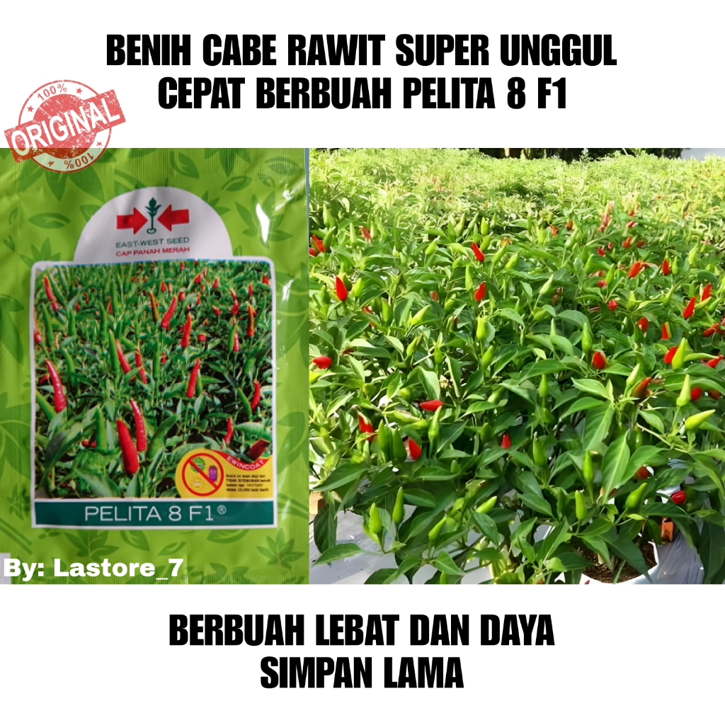 Jual Benih Cabe Cabai Rawit PELITA 8 F1 Repack Cap Panah Merah | Shopee Indonesia