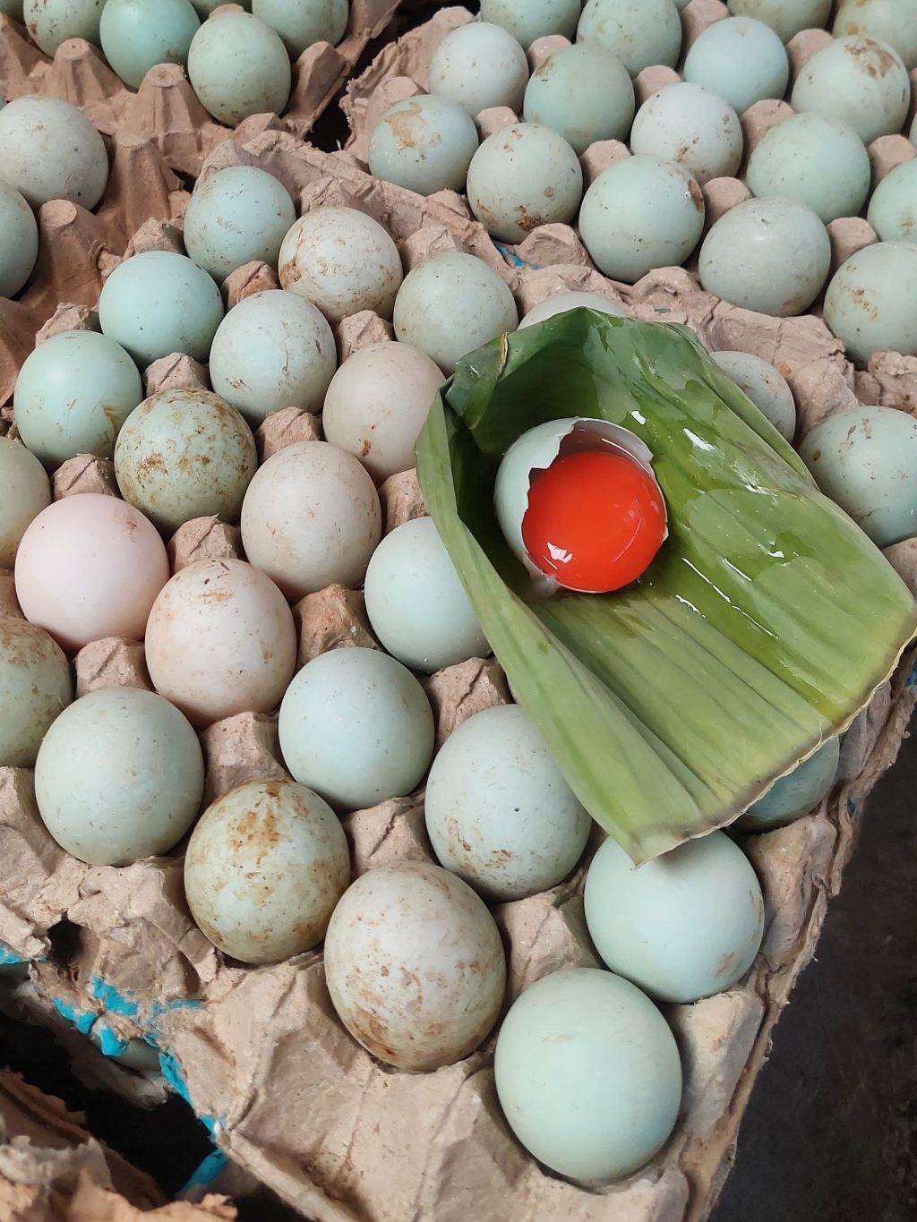 Jual TELUR BEBEK MENTAH ISI 10 BUTIR | Shopee Indonesia