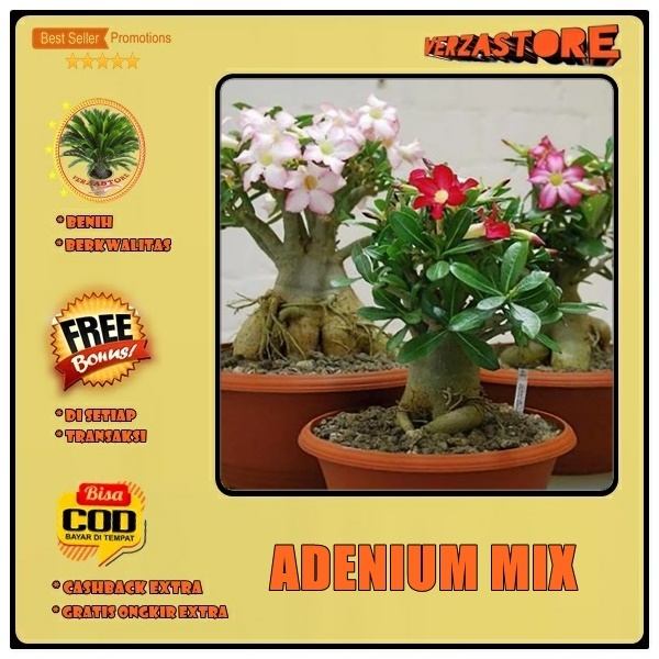 Jual biji benih bunga adenium mix (benih random tidak bisa pilih warna ...