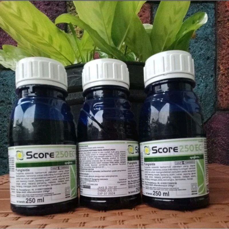 Jual SCORE 250 EC (250ml) | Shopee Indonesia