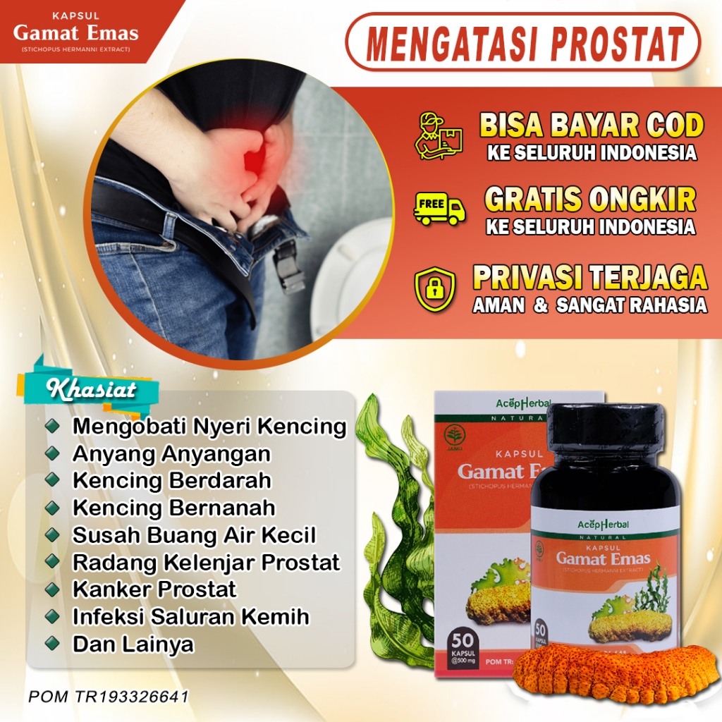 Jual Obat Nyeri Kencing Nanah Prostat ISK Herbal Anyang Anyangan Sakit Buang Air Pria Wanita ...