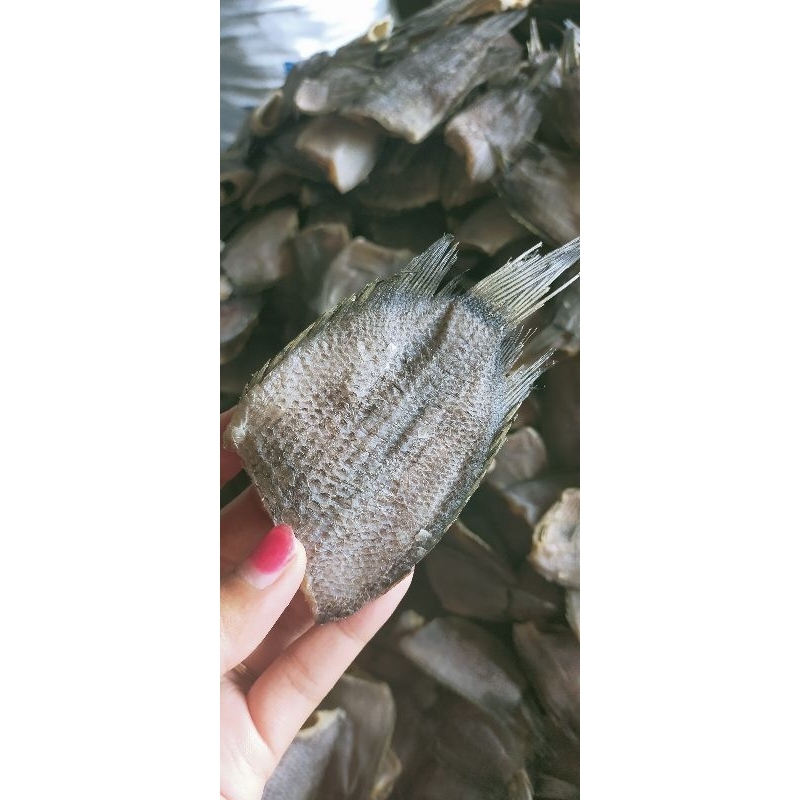 Jual ikan asin biawan/ikan tuakang berat 1000gr | Shopee Indonesia