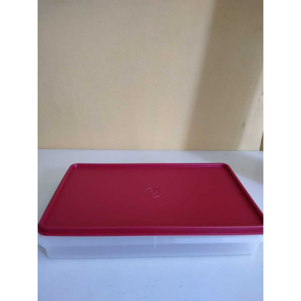 Jual TUPPERWARE - SNACK & STOR LARGE | Shopee Indonesia