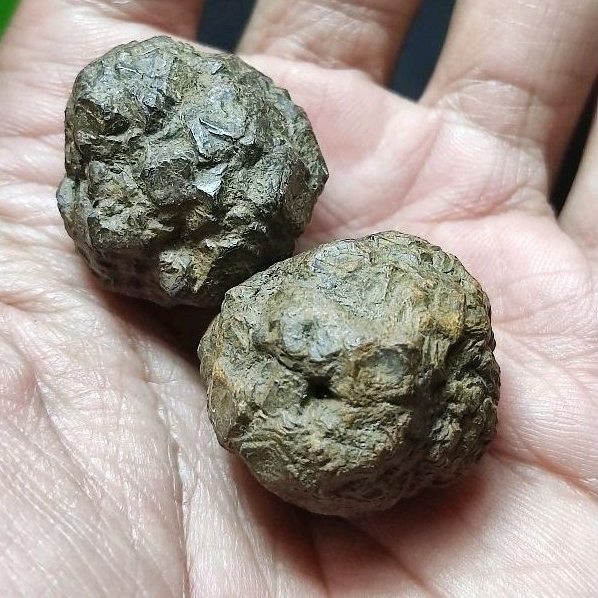 Jual Batu munta besi selonatah natural | Shopee Indonesia