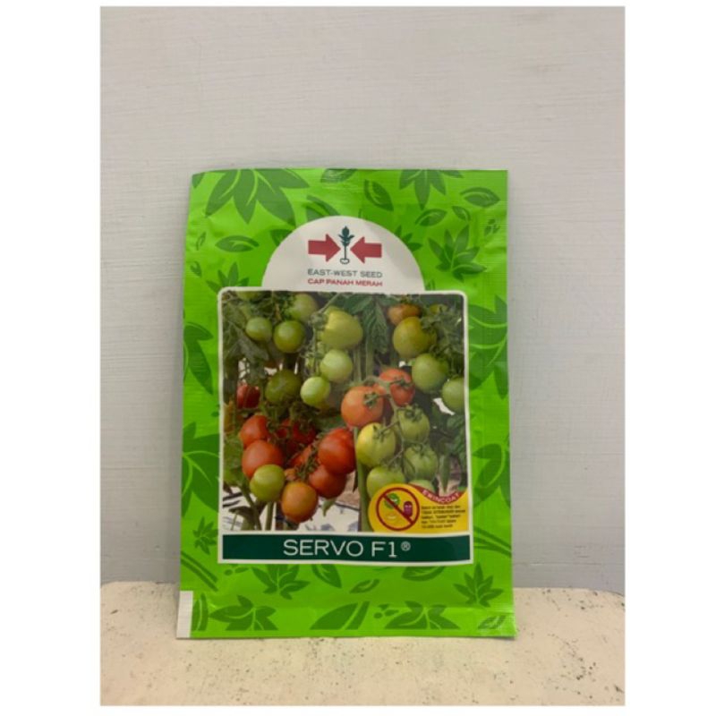 Jual Benih Tomat Servo F1 (Buah Segar Mengkilat, Disukai Pasar, Tahan ...
