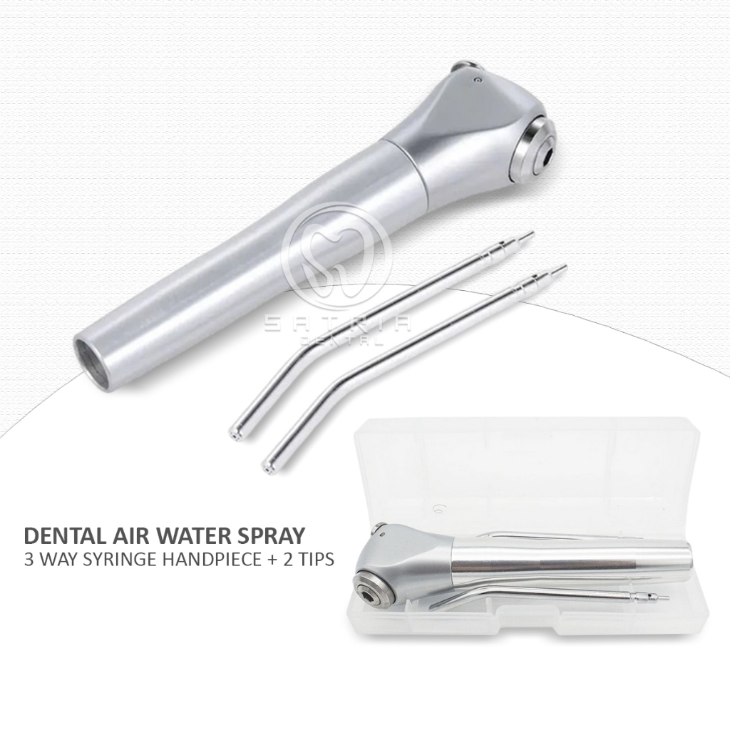 Jual Dental Air Water Spray Triple 3 Way Syringe Handpiece + 2 Tips ...