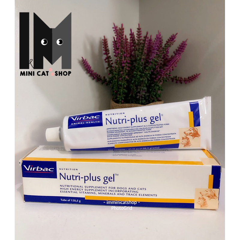Jual Nutri-plus gel 120,5g Suplemen / Imun Booster (Exp. Juni 2026 ...