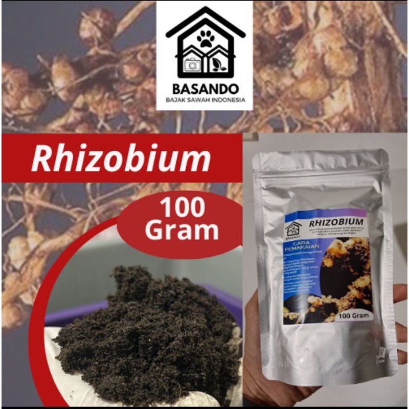 Jual Rhizobium 100 gram_Repack By Basando | Shopee Indonesia