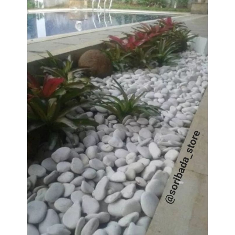 Jual Batu Coral Hiasan Taman | Batu Hiasan Taman | Dekorasi Rumah ...