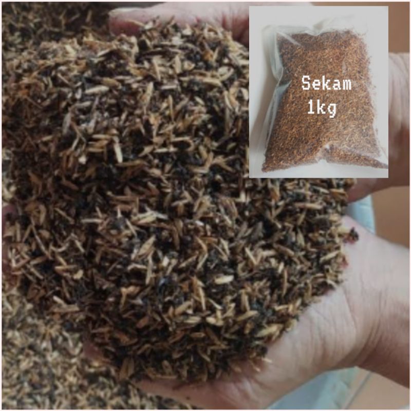 Jual Median tanaman-sekam kulit padi fermentasi | Shopee Indonesia