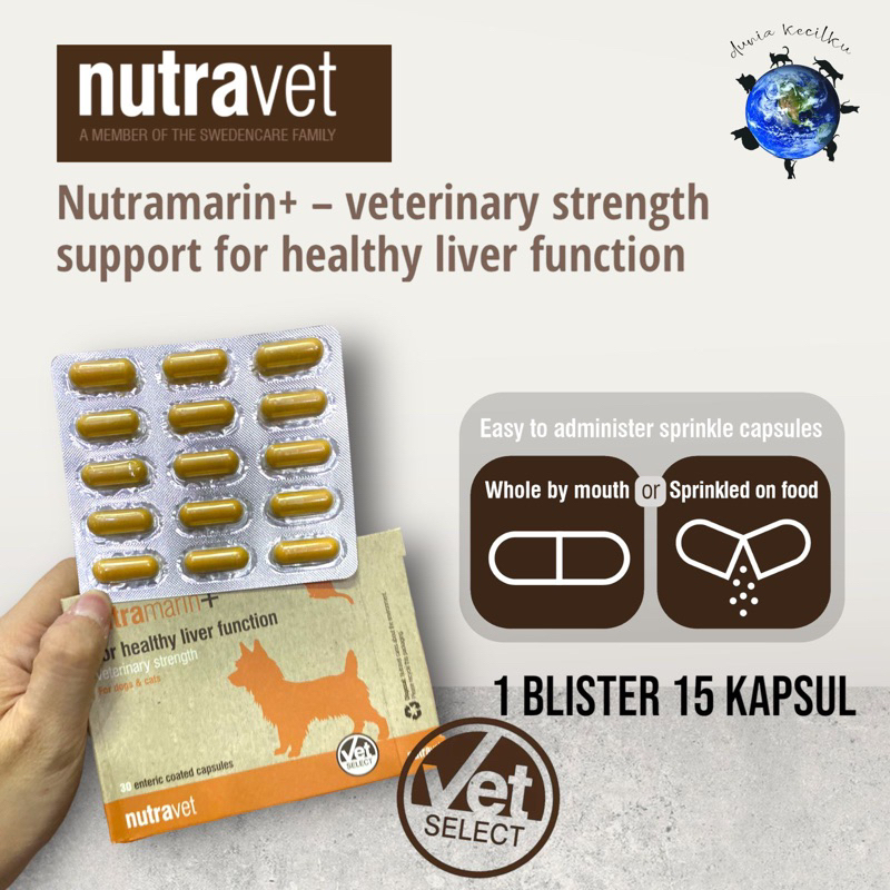 Jual Nutravet Nutramarin Plus Liver Support - Suplemen Liver / Hati ...