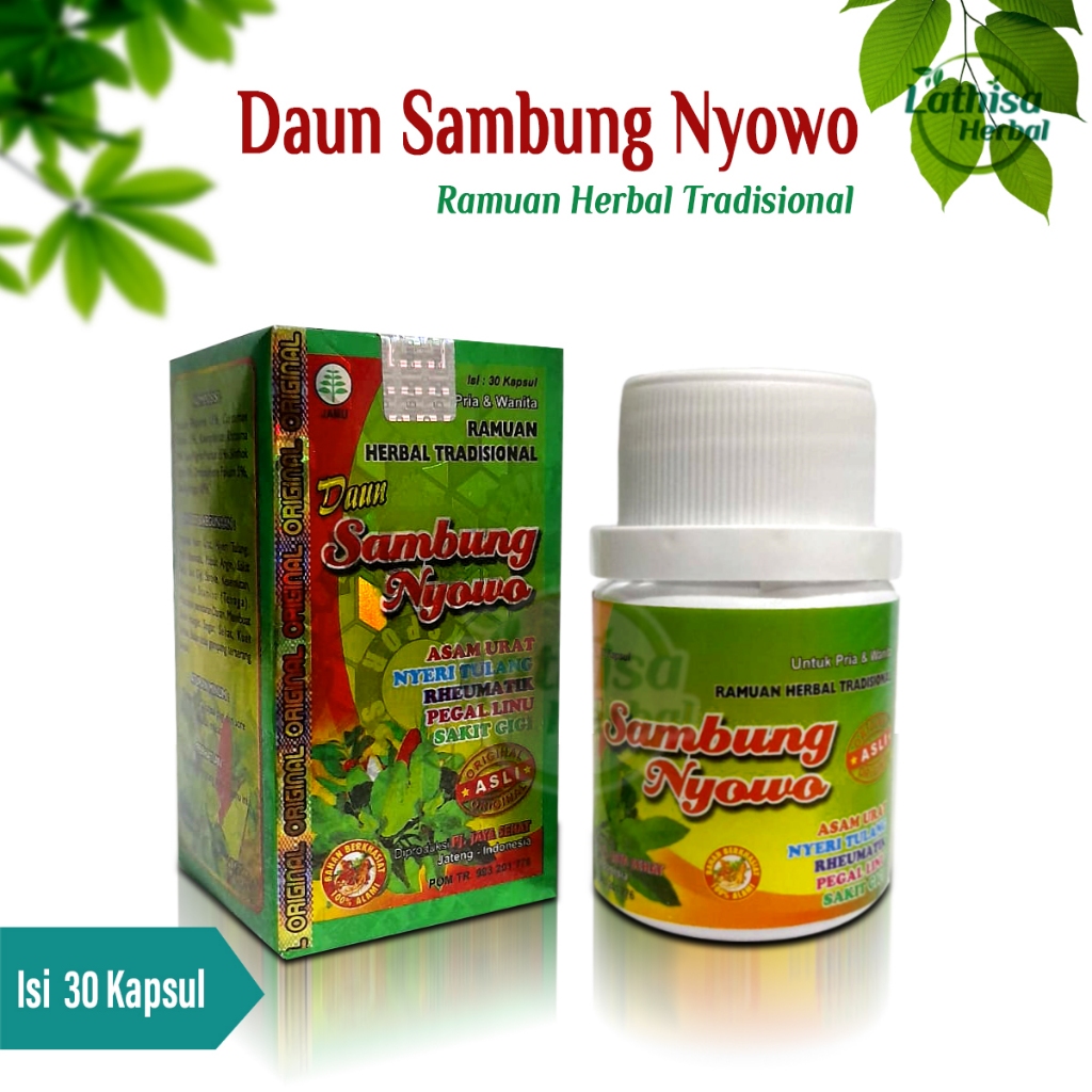 Jual Obat Asam Urat Rematik Nyeri Sendi Kapsul Daun Sambung Nyowo