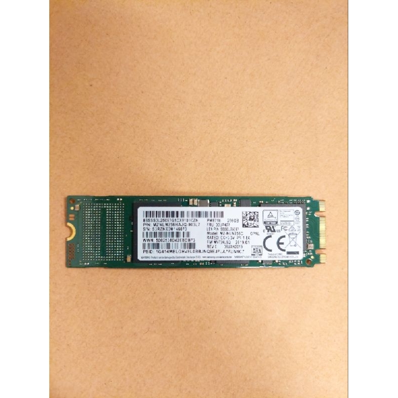Jual SSD SAMSUNG 256GB M.2 SATA ORIGINAL | Shopee Indonesia