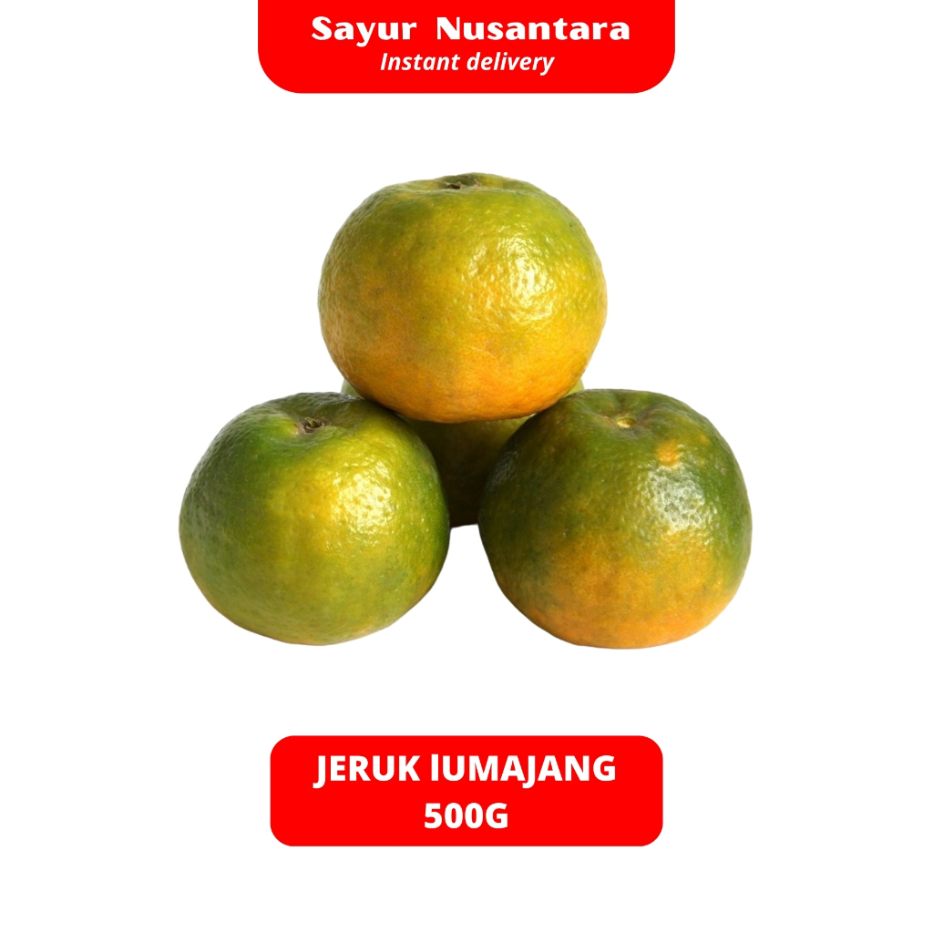 Jual Buah Jeruk Lumajang 500 gr - Sayur Nusantara | Shopee Indonesia