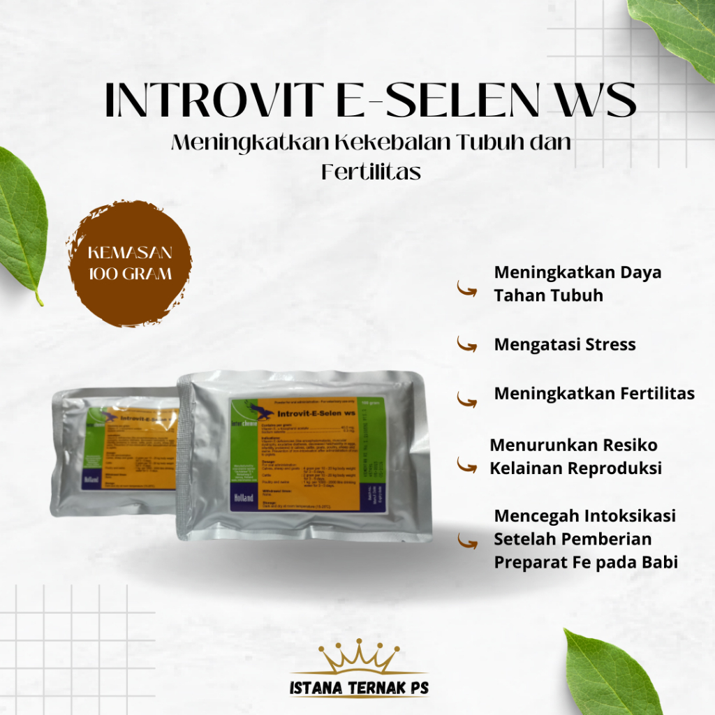 Jual Introvit E-Selen WS Vitamin E Meningkatkan Fertilitas dan Sistem ...