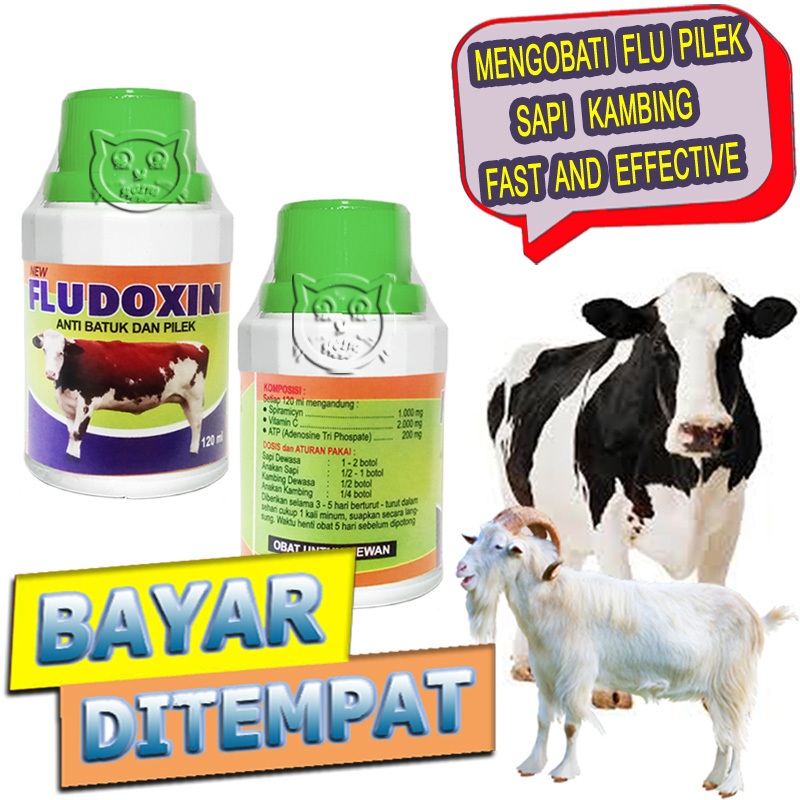 Jual Fludoxin Obat Pilek Flu Sapi Kambing Domba Kerbau Ngorok Infeksi ...