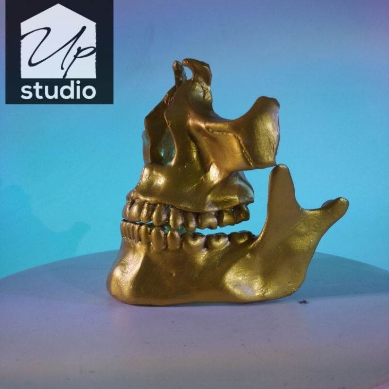 Jual dekorasi horror tengkorak resin | Shopee Indonesia