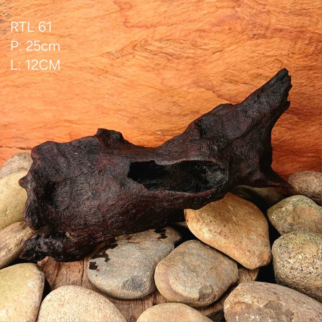 Jual Kayu Rentek Drifwood Aquascape Paludarium Castawood Size L - Kayu ...