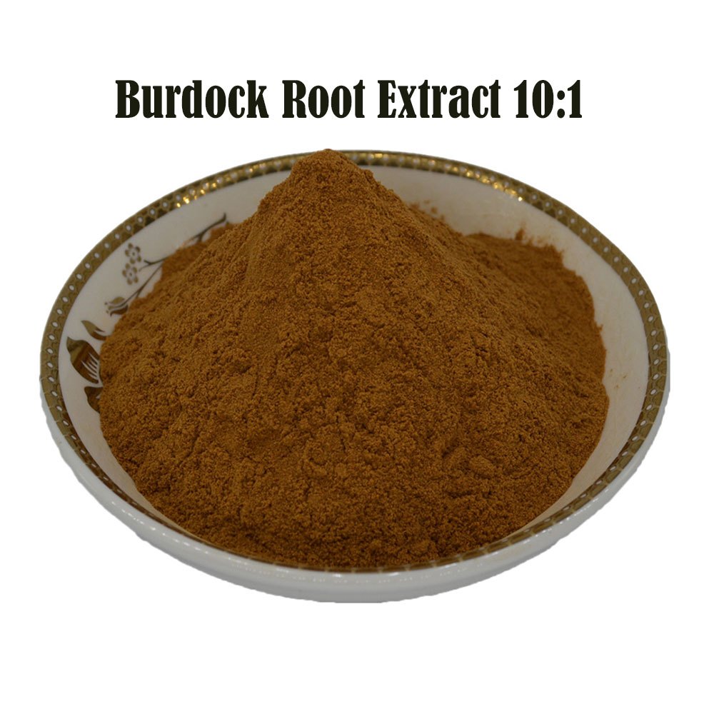 Jual Burdock Root (Arctium Lappa) Supplement Extract 10:1 Powder 50 gr ...