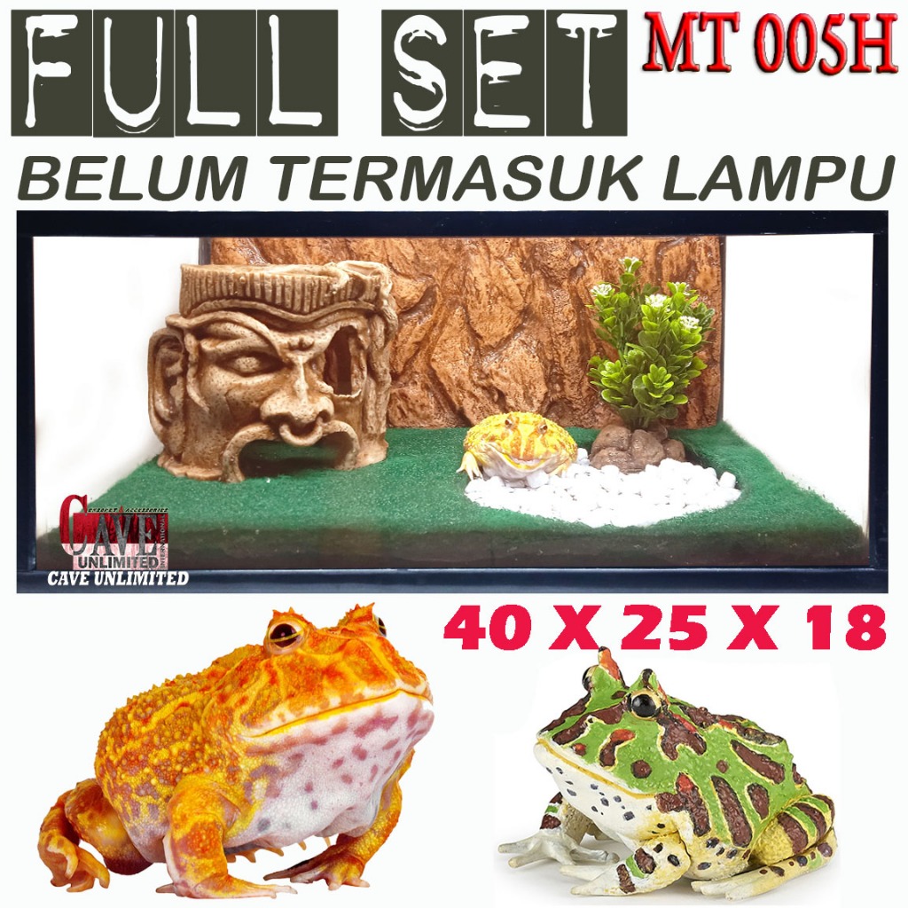 Jual MT005H FULL SET KANDANG AQUARIUM TERRARIUM PACMAN KATAK KODOK FROG ...