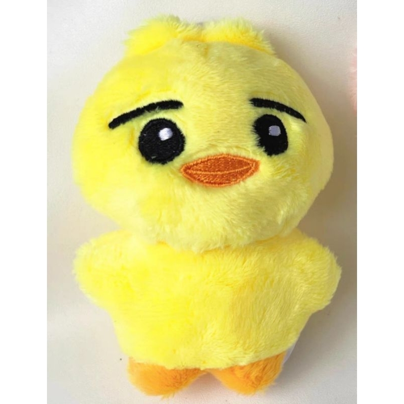 Jual (Baca deskripsi)Boneka Enhypen import lucu | Shopee Indonesia