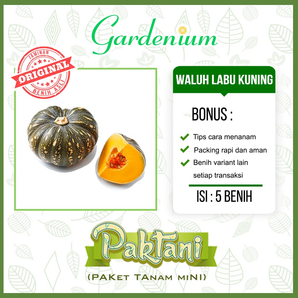 Jual 5 Benih Waluh Labu Kuning Unggul Paktani | Shopee Indonesia