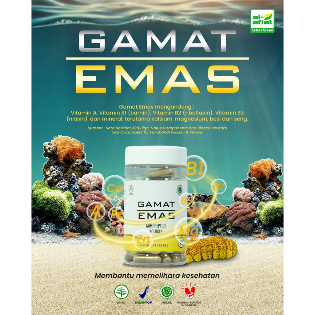 Jual Kapsul Ekstrak GAMAT EMAS Al Afiat Isi 60 Kapsul | Shopee Indonesia