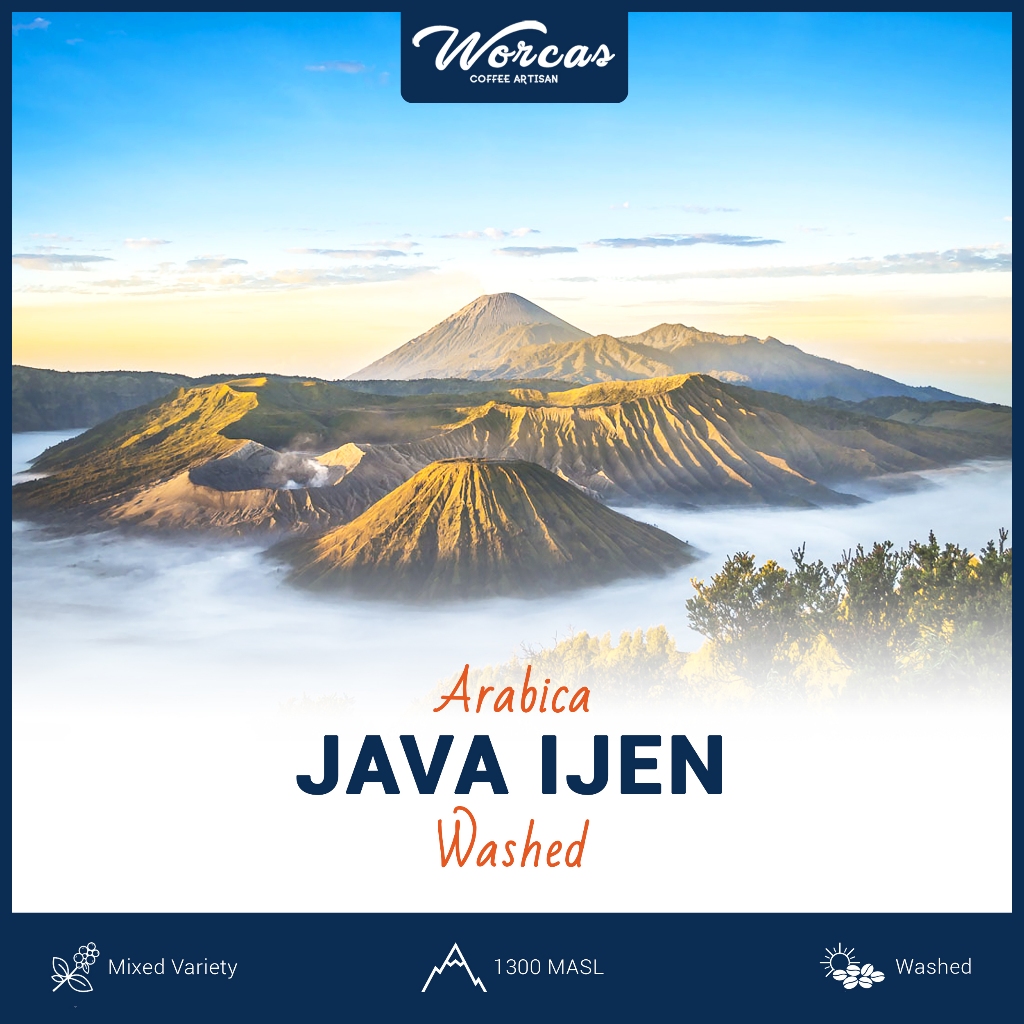 Jual PROMO en Bean Arabica Java Ijen 1 Kg Biji Kopi Mentah | Shopee ...