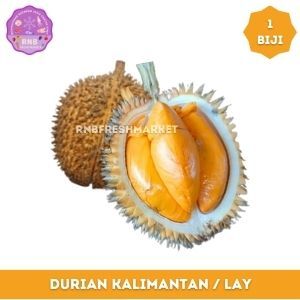 Jual Buah Durian Kalimantan / Lay | Shopee Indonesia