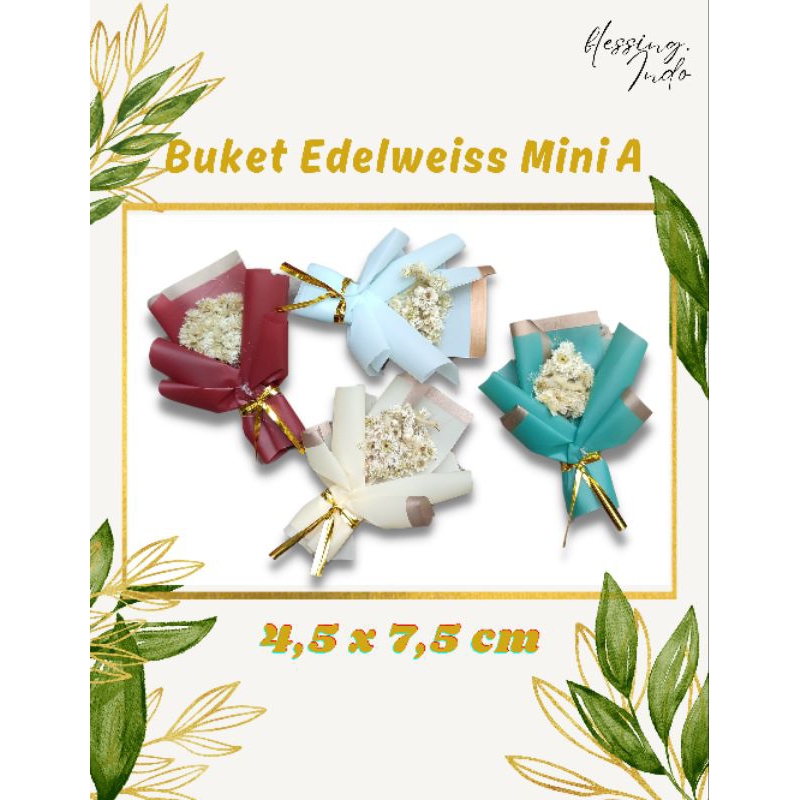 Jual TERMURAH!! MINI BUKET EDELWEISS / BUKET DRIED FLOWER / EDELWEISS ...