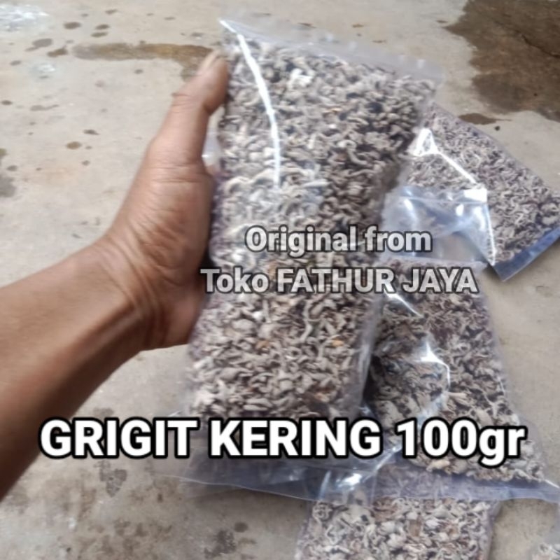 Jual Jamur grigit kering bersih 100gr langsung cari di kebun tanpa ...