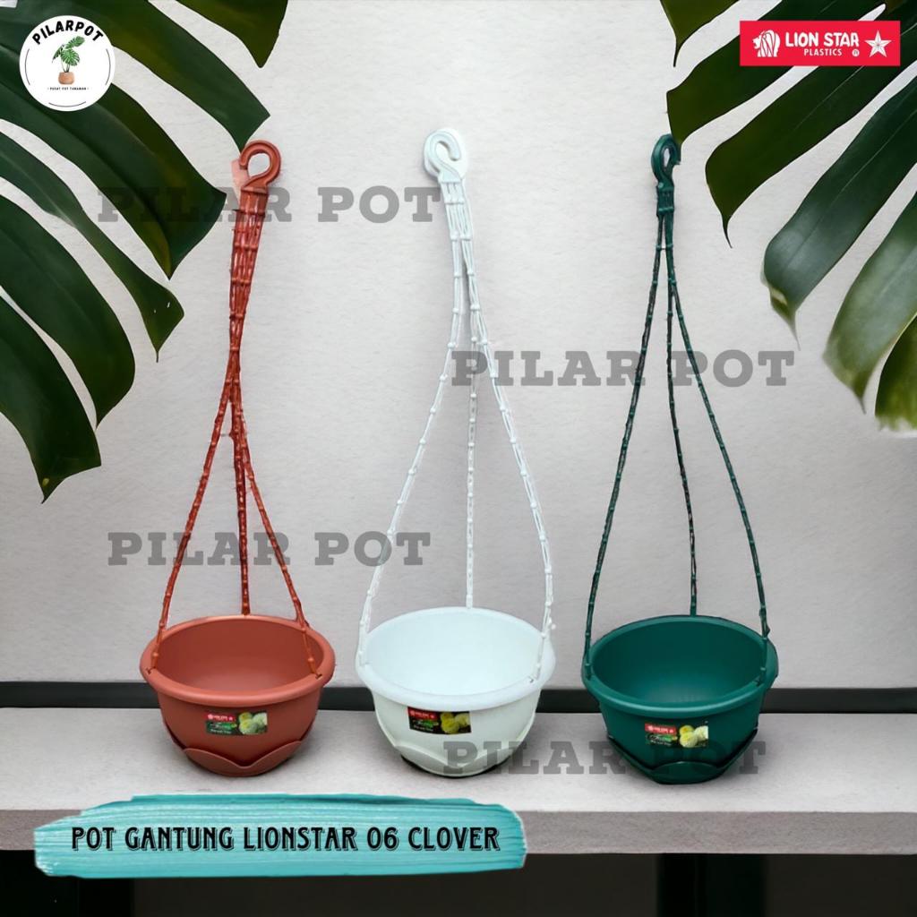 Jual Pot Bunga Tanaman Gantung Lion Star Clover 06 Bahan Tebal - CLOVER ...