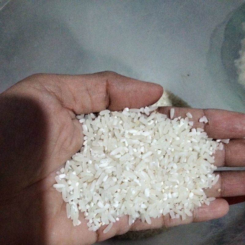 Jual beras selepan /beras asli selepan/ beras pulen | Shopee Indonesia