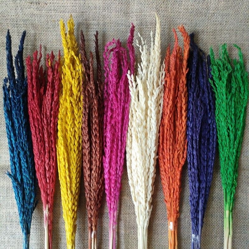 Jual bunga kering jagung 1 ikat isi 3-5 tangkai bunga buket bahan buket ...