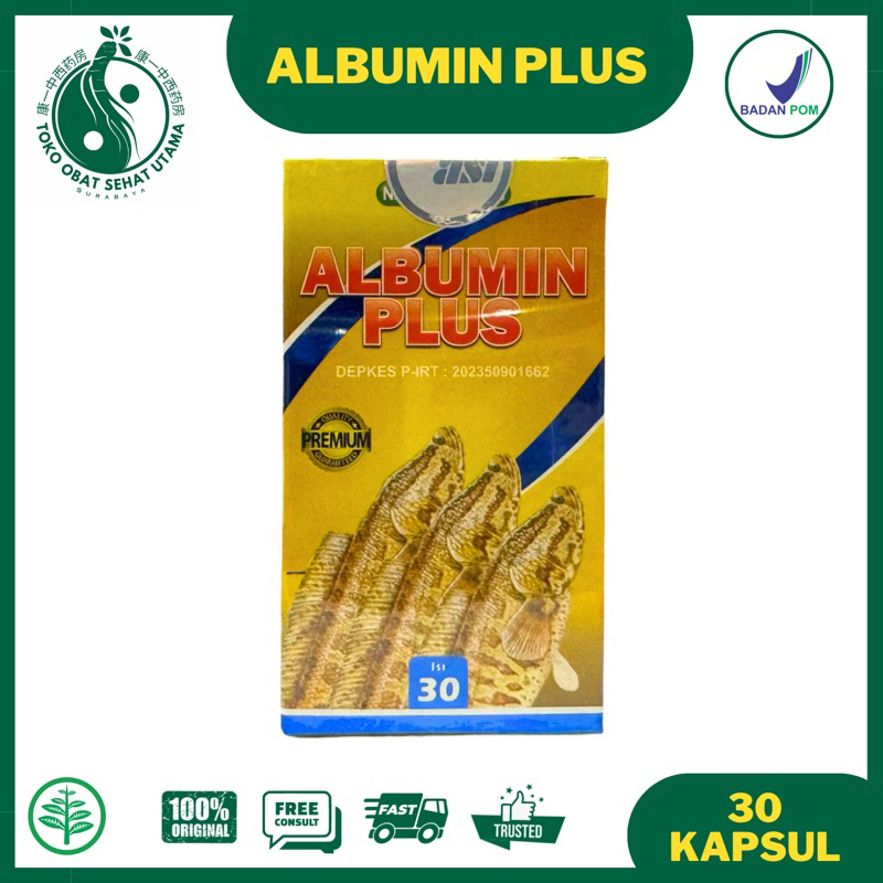 Jual ALBUMIN PLUS / Suplemen Protein Albumin / Kapsul Ekstrak Ikan ...