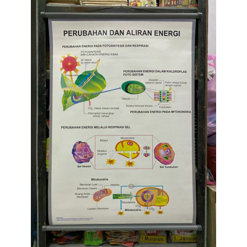 Jual SaranaPeraga - Carta Poster Gambar Perubahan Dan Aliran Energi ...