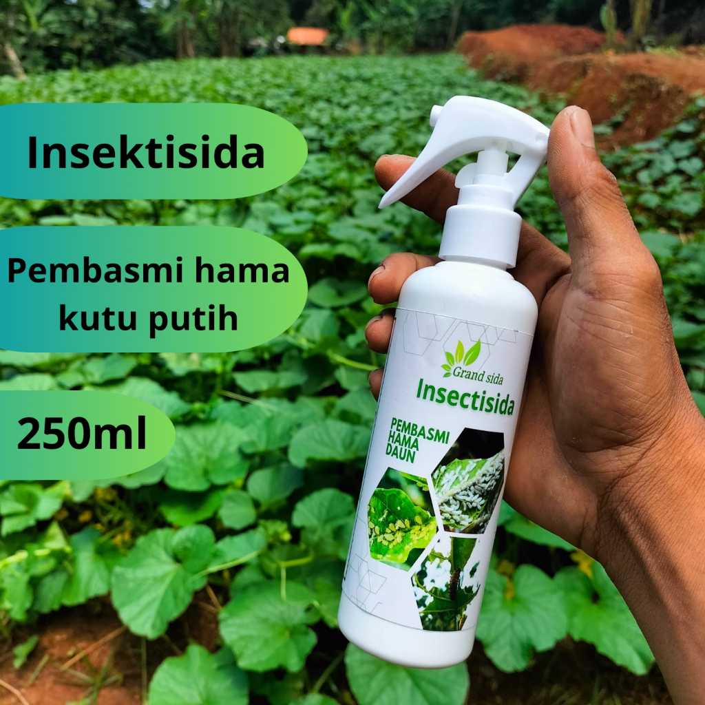 Jual Pembasmi kutu putih super ampuh pada tanaman obat hama 250ml ...