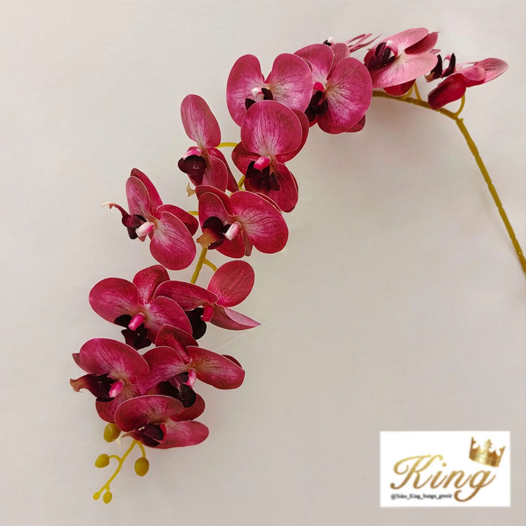 Jual Jumbo 15Kuntum Real Touch Large Orchid Bunga Anggrek Latax Premium ...