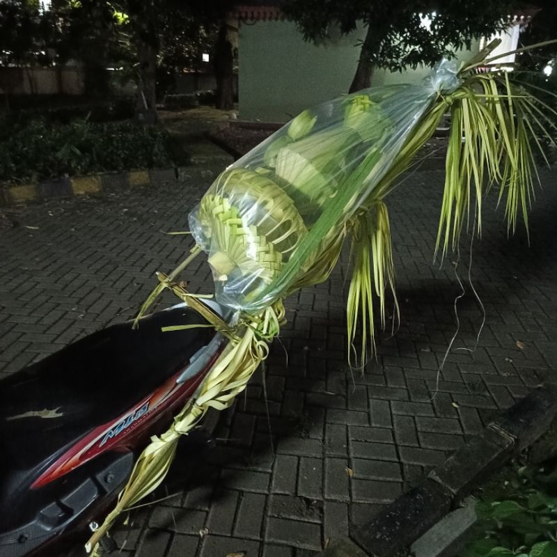 Jual Janur kuning Pernikahan, Khitanan, Syukuran, Hajatan | Shopee ...