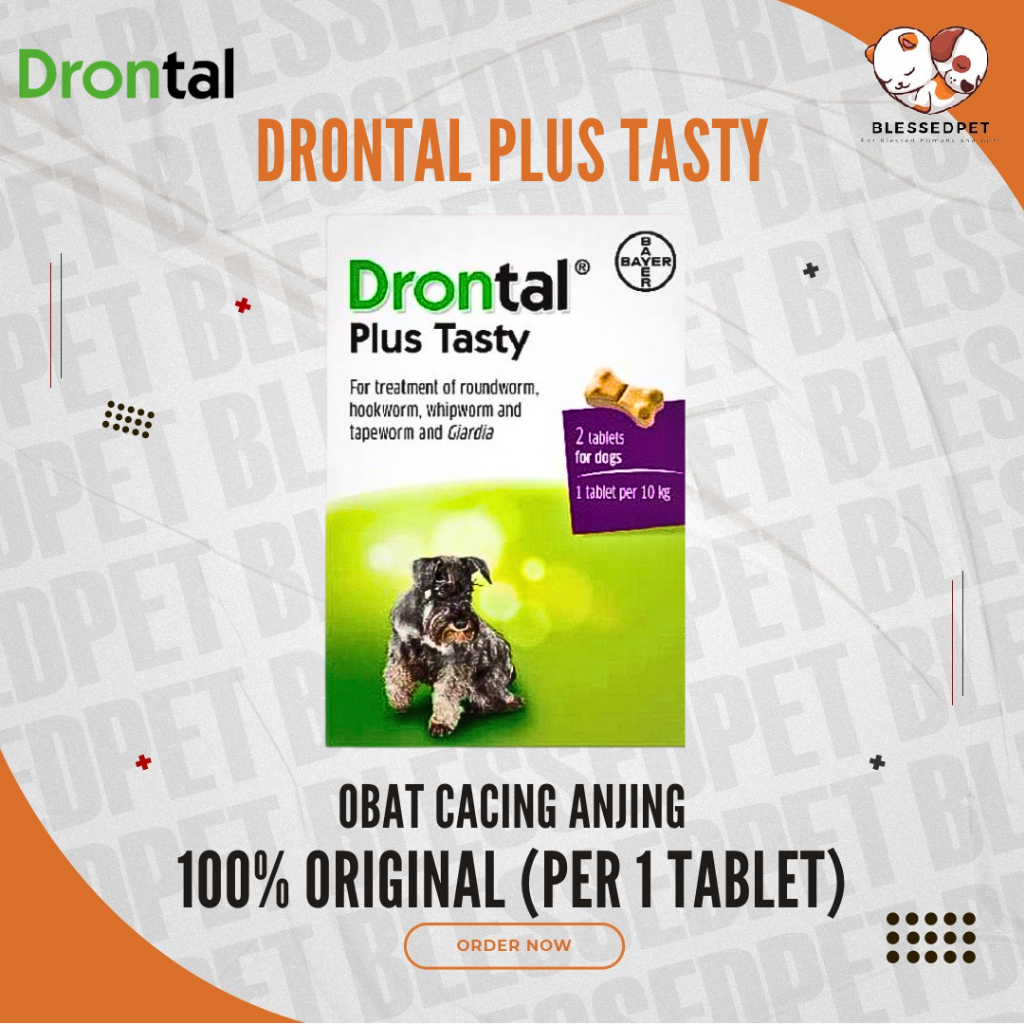 Jual DRONTAL Plus Tasty Obat Cacing Anjing 1 Tablet (100% Original ...