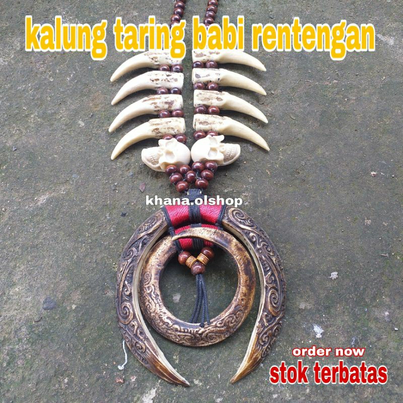 Jual KALUNG TARING BABI ETNIK DAYAK KALIMANTAN | Shopee Indonesia