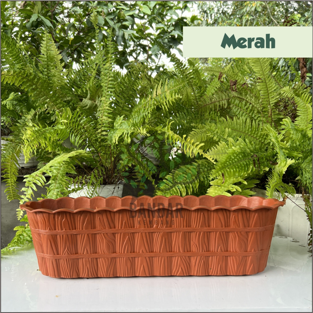 Jual Pot Tanaman Hias CJP Kayu Panjang 60Cm Pot Panjang Aestetic ...