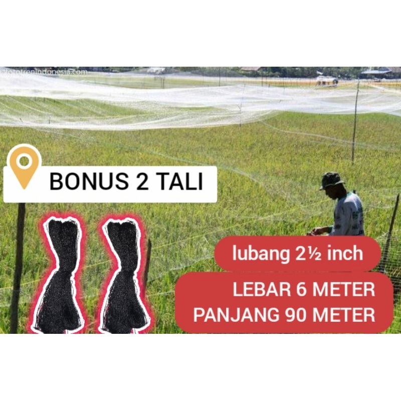 Jual jaring sawah BONUS 2 TALI jaring padi lubang 2½ inch 100md/100yds jaring burung emprit ...