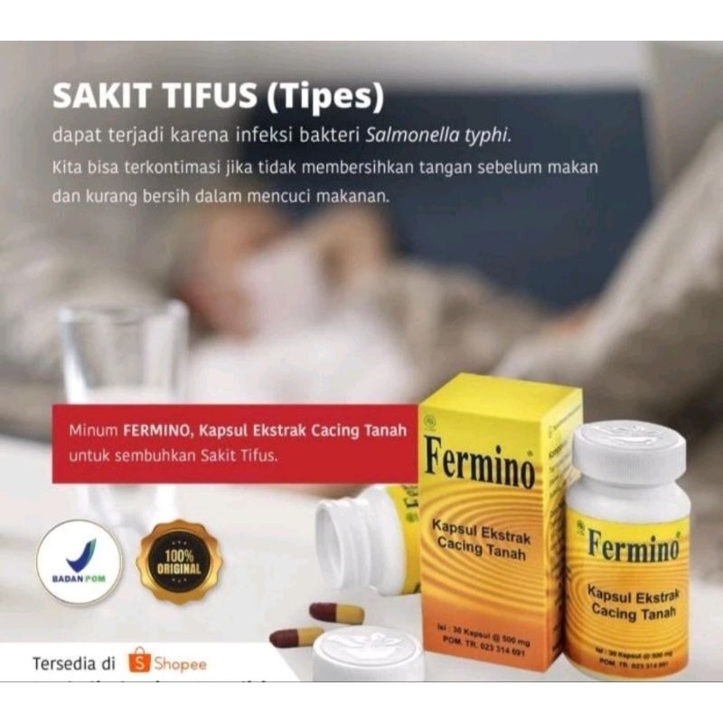 Jual FERMINO KAPSUL 20S CACING KAPSUL OBAT TYPUS TIPES DEMAM | Shopee ...