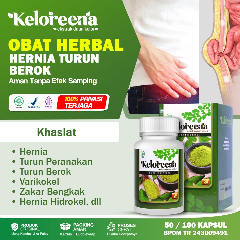 Jual Obat Hernia Turun Berok Hernia Hidrokel Hernia Inguinalis Turun ...