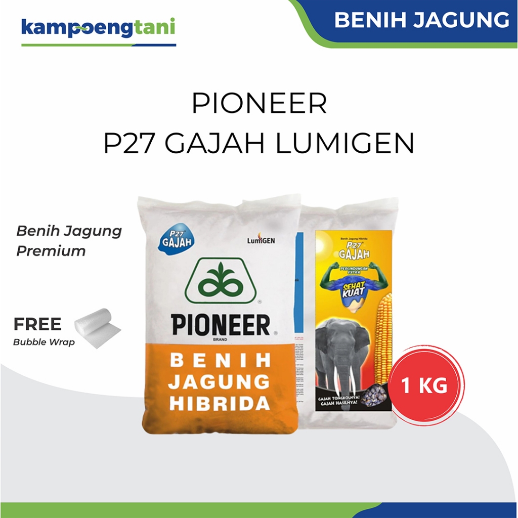 Jual Kampoeng Tani - Benih Jagung Pioneer P27 Gajah Lumigen 1 Kg Bibit ...