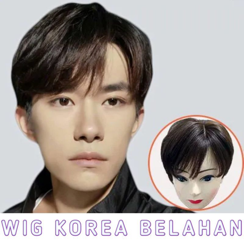 Jual Full Wig Rambut Palsu Pria Korea Rambut Pendek Belahan Samping ...