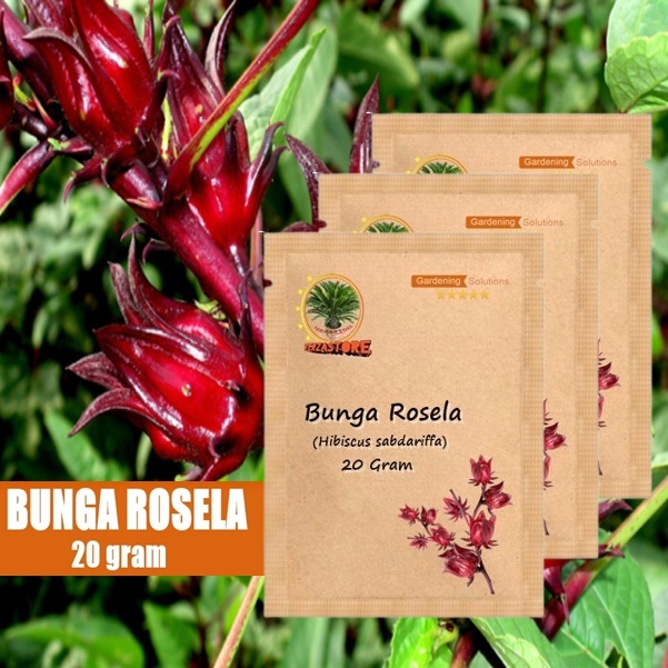 Jual 20 Gram Biji Benih Bunga Rosella Tanaman Herbal | Shopee Indonesia