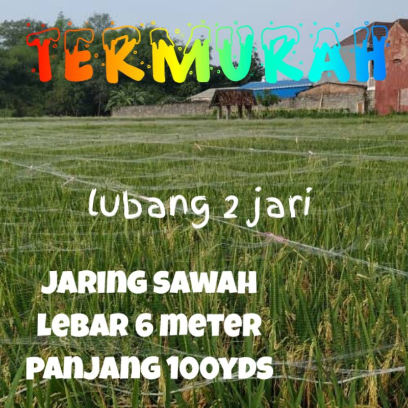Jual jaring sawah lubang 2½/2 jari longgar lebar 6 meter panjang 100yds ...