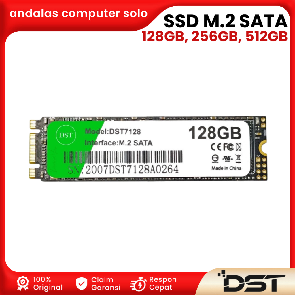 Jual SSD INTERNAL DST M.2 SATA 128GB 256GB 512GB | Shopee Indonesia